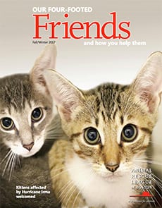 Our Four-Footed Friends - Animal Rescue League of Boston