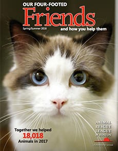 Our Four-Footed Friends - Animal Rescue League of Boston