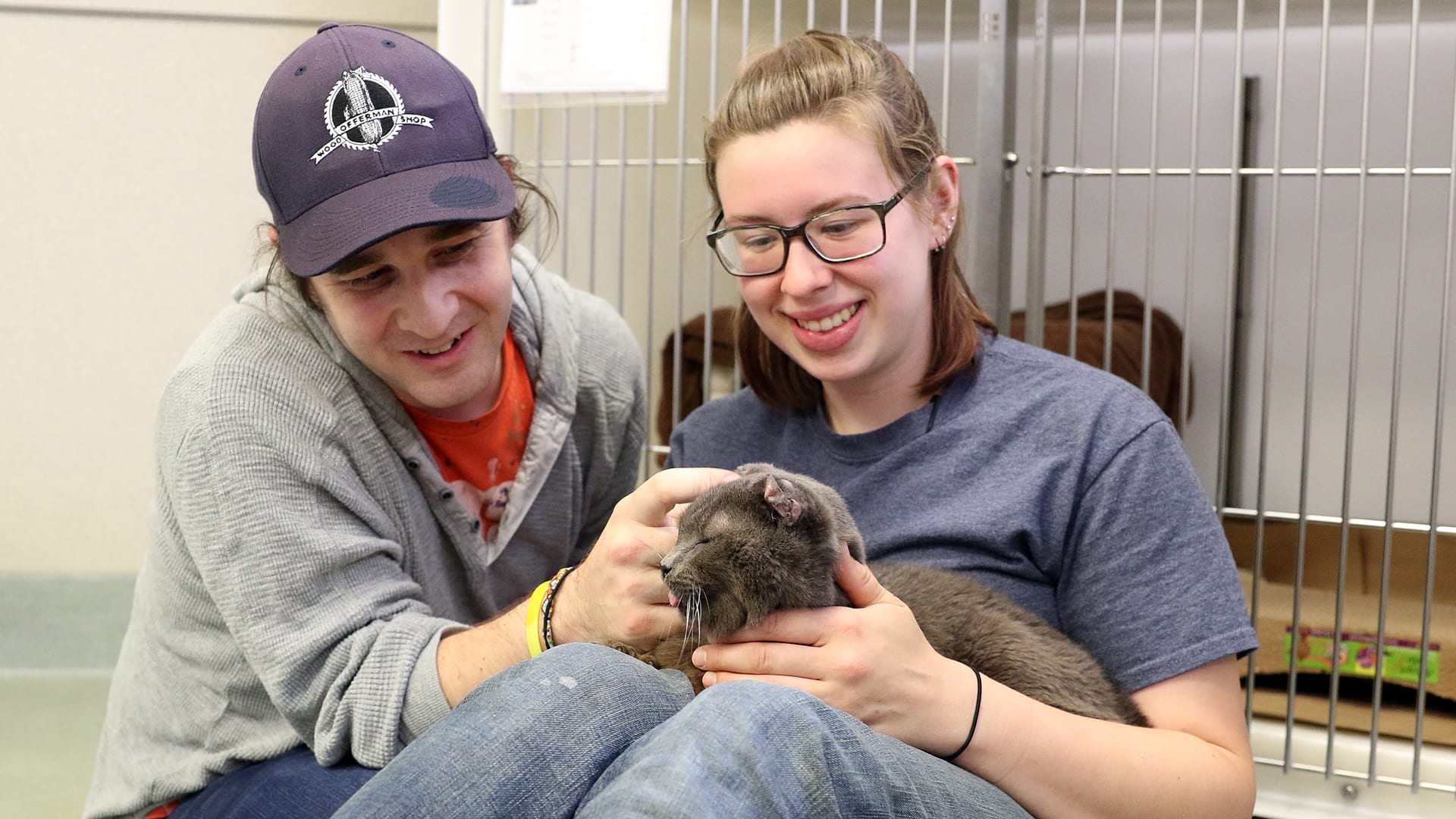 Cat with Myriad of Medical Issues Finds Forever Home - Animal Rescue ...