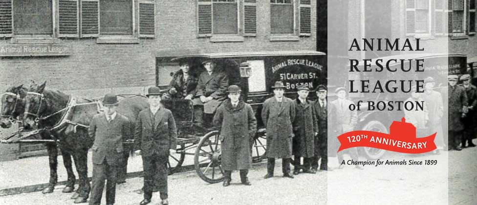 Animal Rescue League of Boston