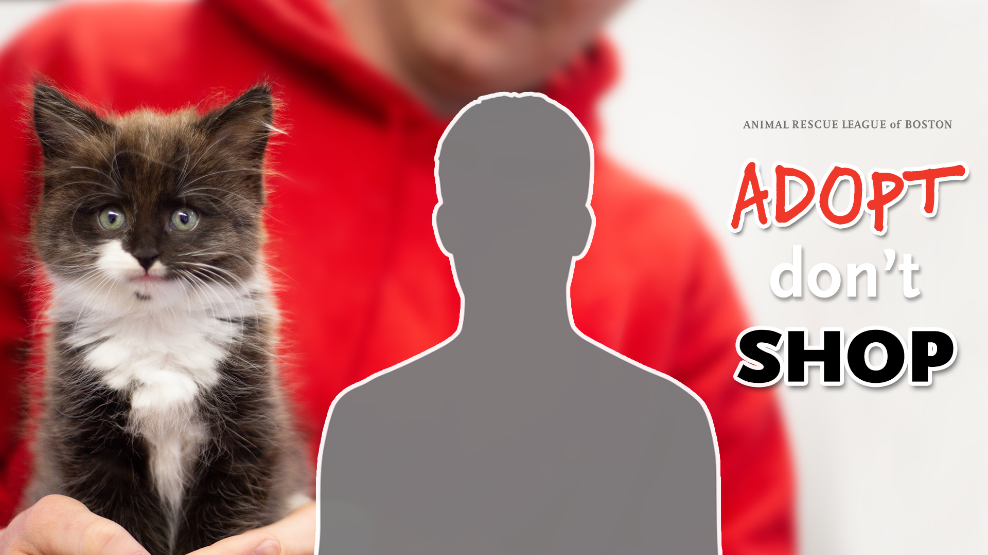 ARL Digital Workspace Backgrounds - Animal Rescue League of Boston