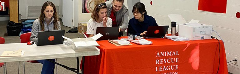 News - Animal Rescue League of Boston