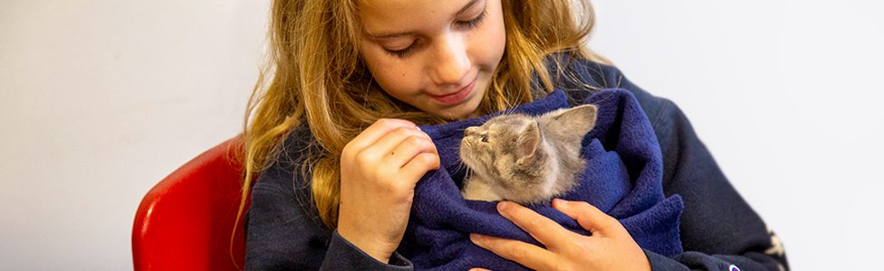 Humane Education - Animal Rescue League of Boston