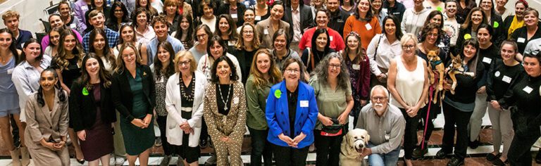 News - Animal Rescue League of Boston