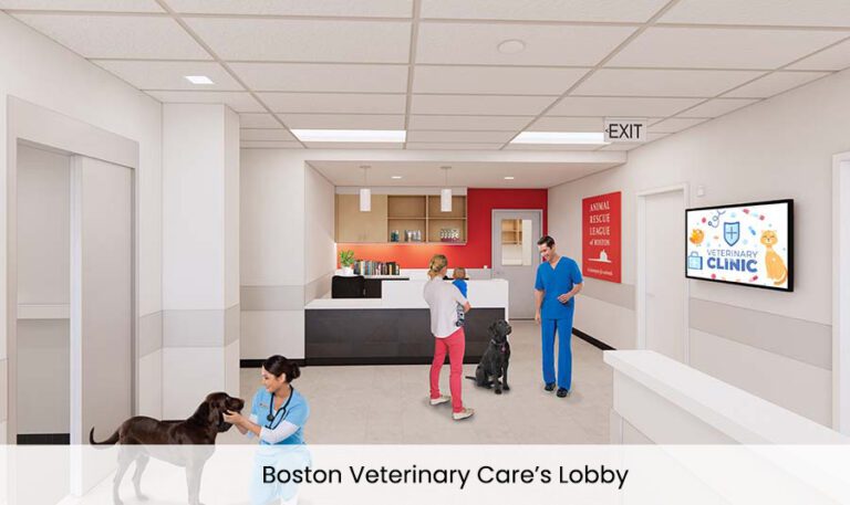 Foundation for the Future: Rebuilding for the Animals We Serve - Animal ...