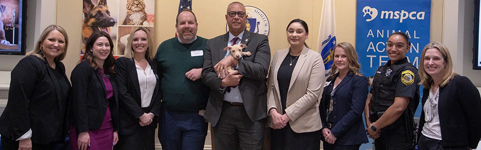 ARL Briefs Legislators on Proposed Animal Protection Laws - Animal ...