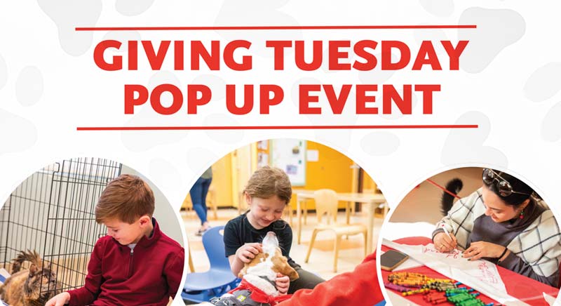 Giving Tuesday Pop Up Event - Animal Rescue League of Boston